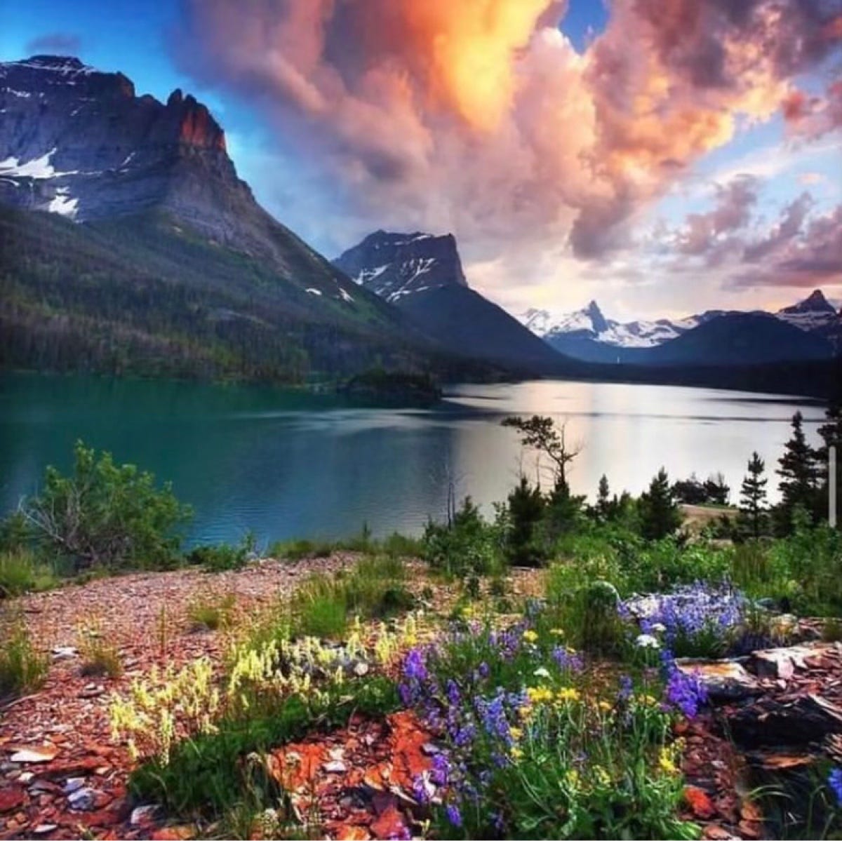 Sandra Mark – Medium