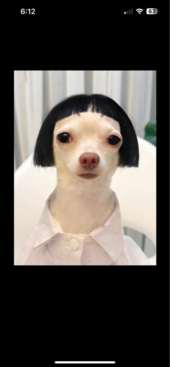 Rhona Ojeda on Medium curated some lists