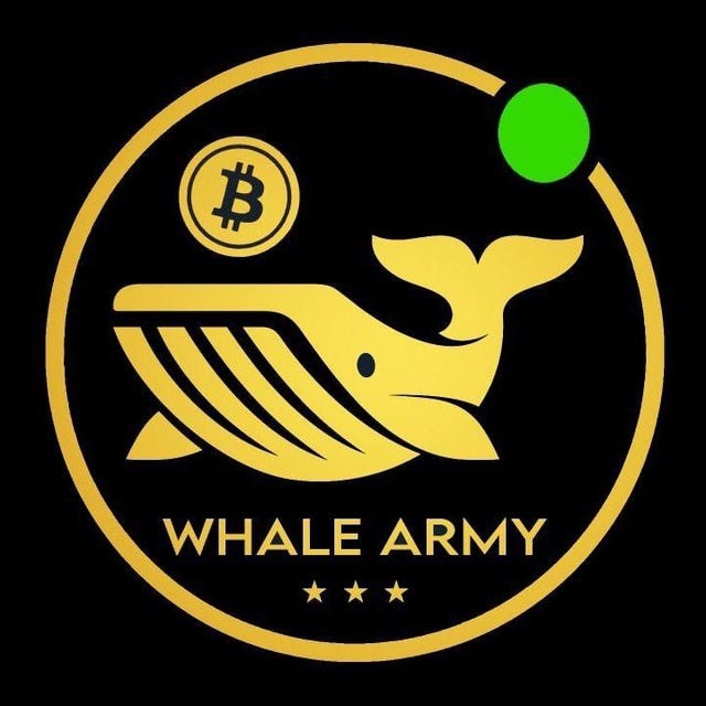 About – Whale Army – Medium