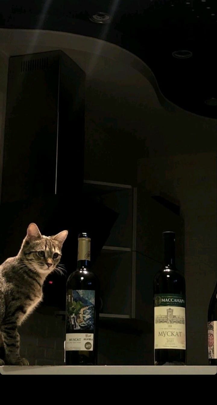 Aaron travis – Medium