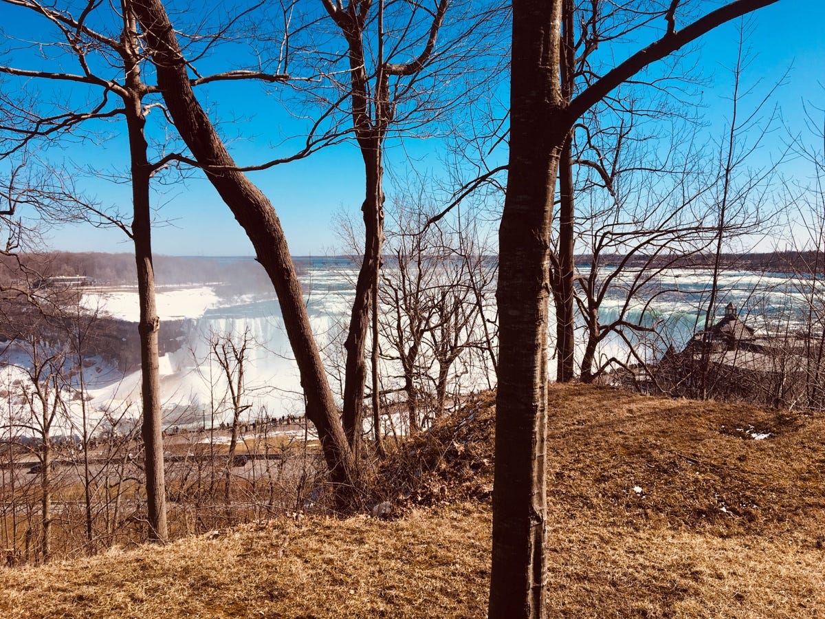 Femmecommetata – Medium