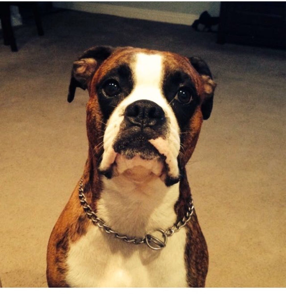 Sergio Jimenez – Medium