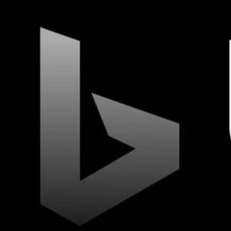 Bing Lite – Medium