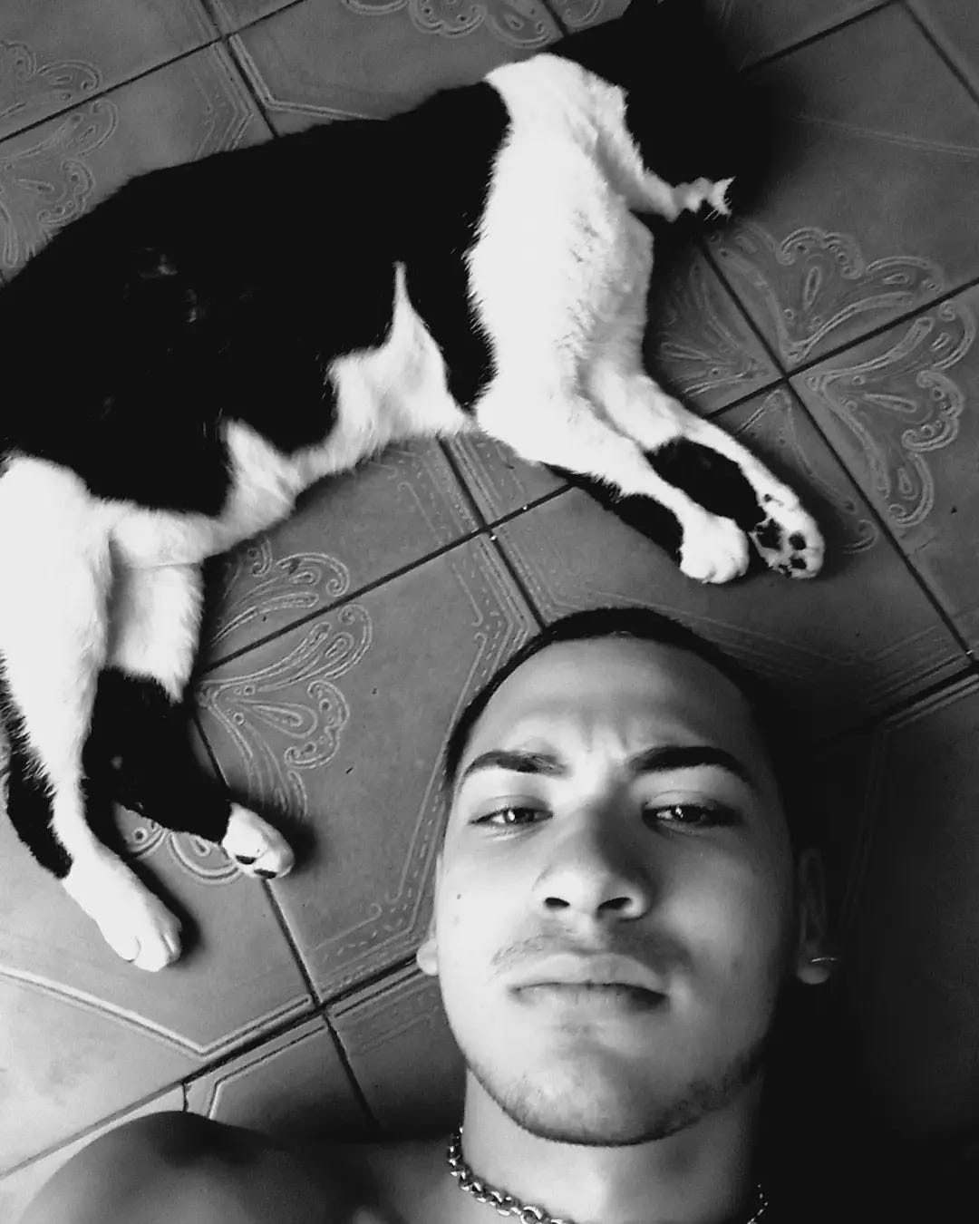 Roh Mauro – Medium