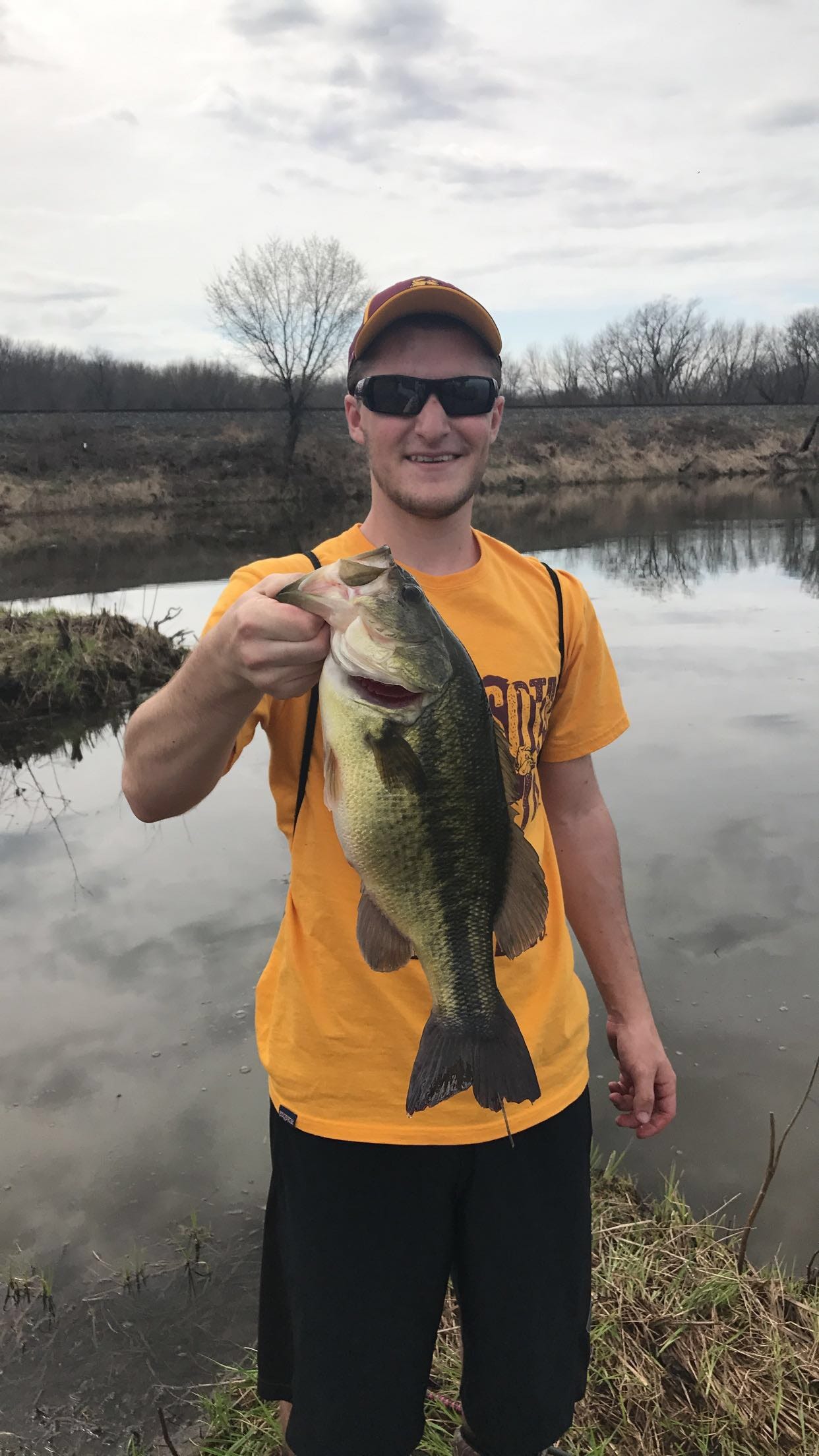 Alex Beissel – Medium