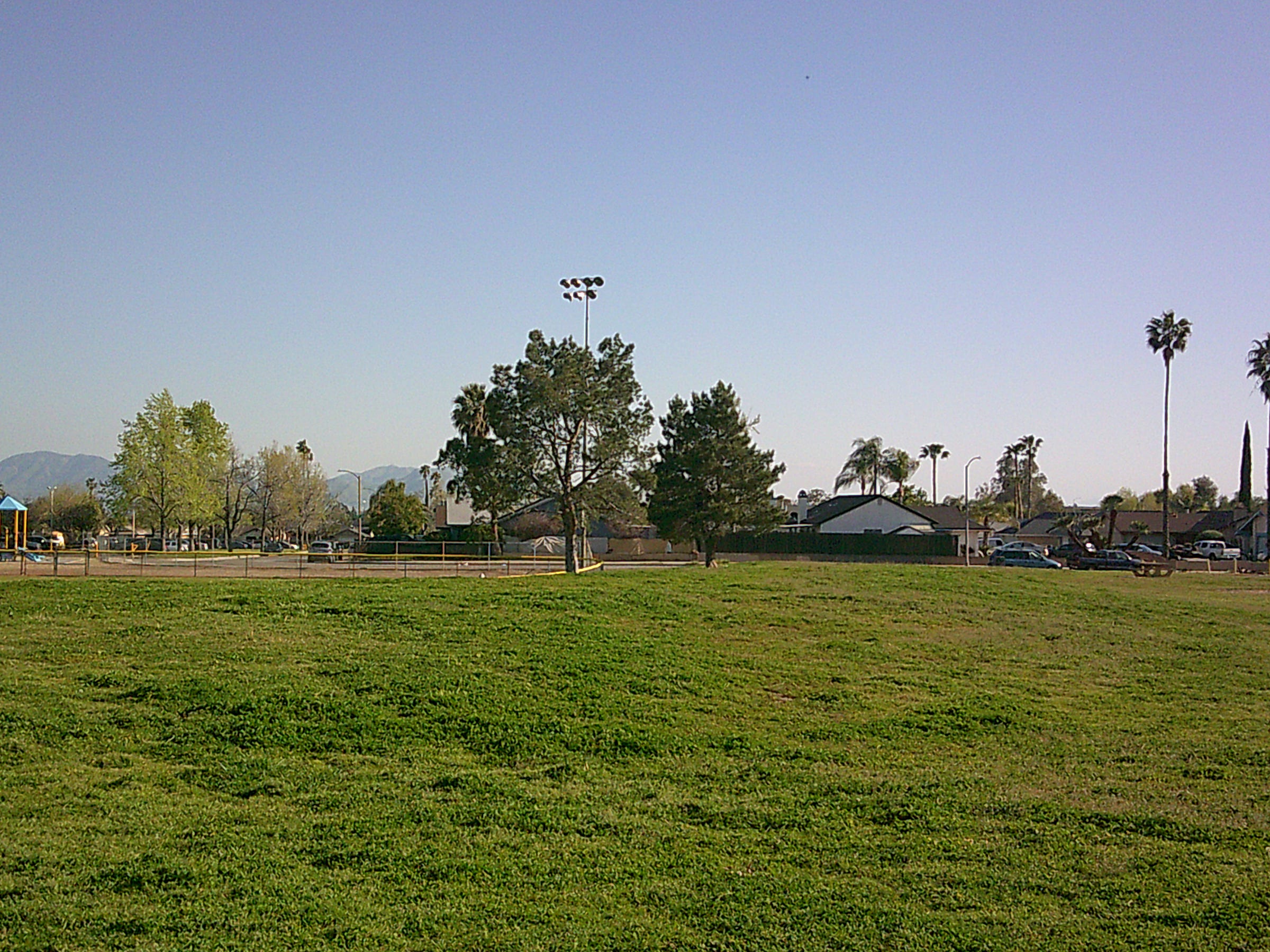 Frank Falconer – Medium