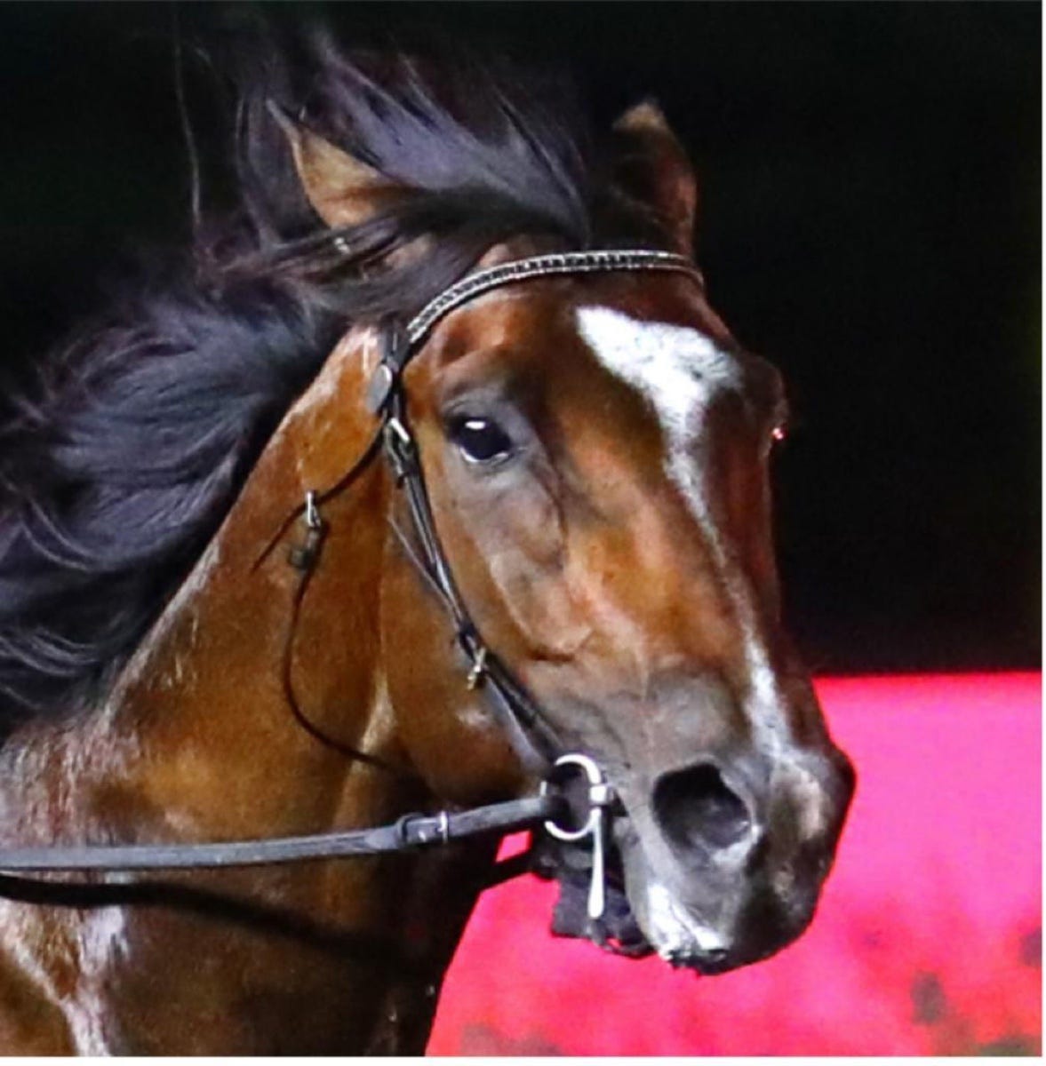 Michele P – Medium