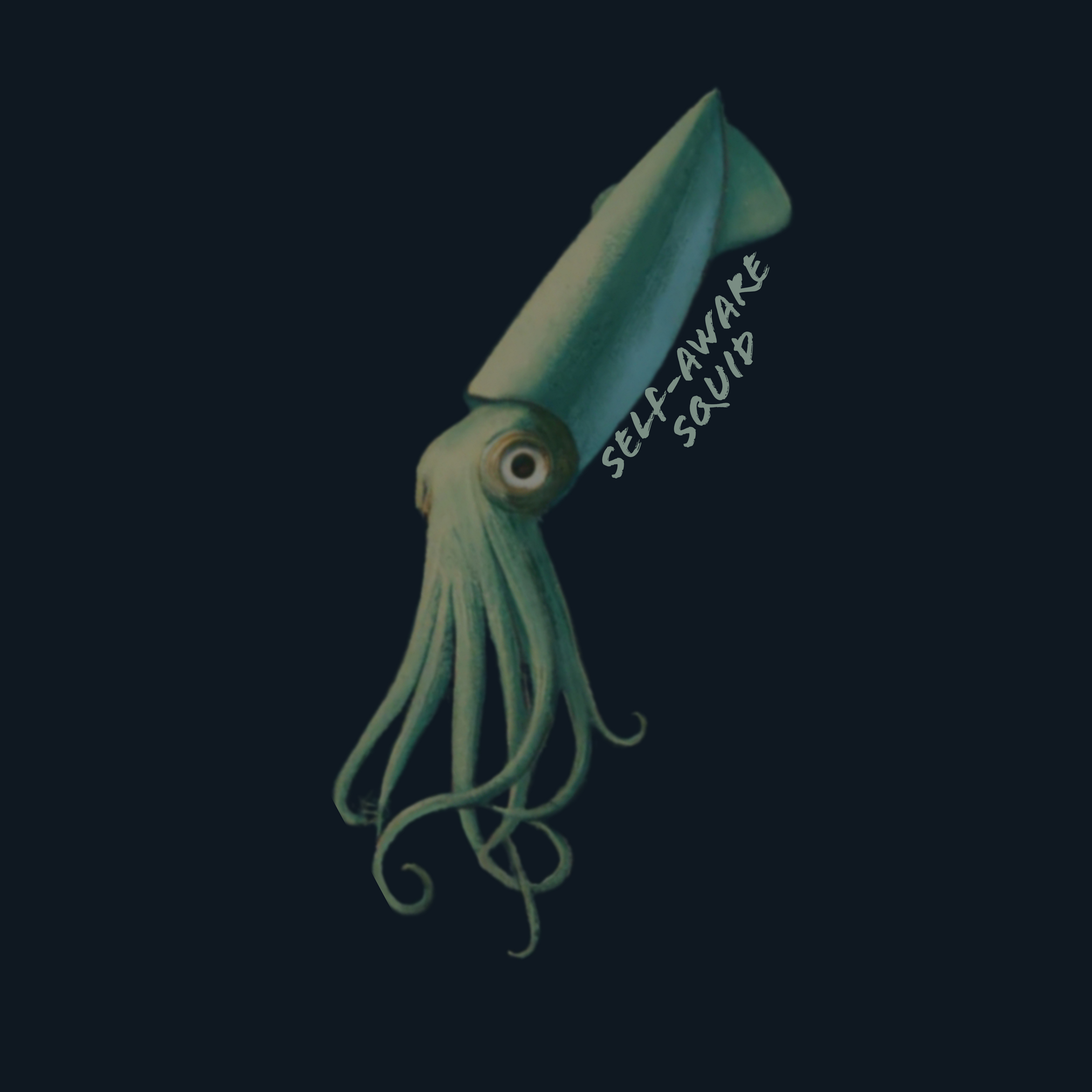 About – Self-aware Squid – Medium