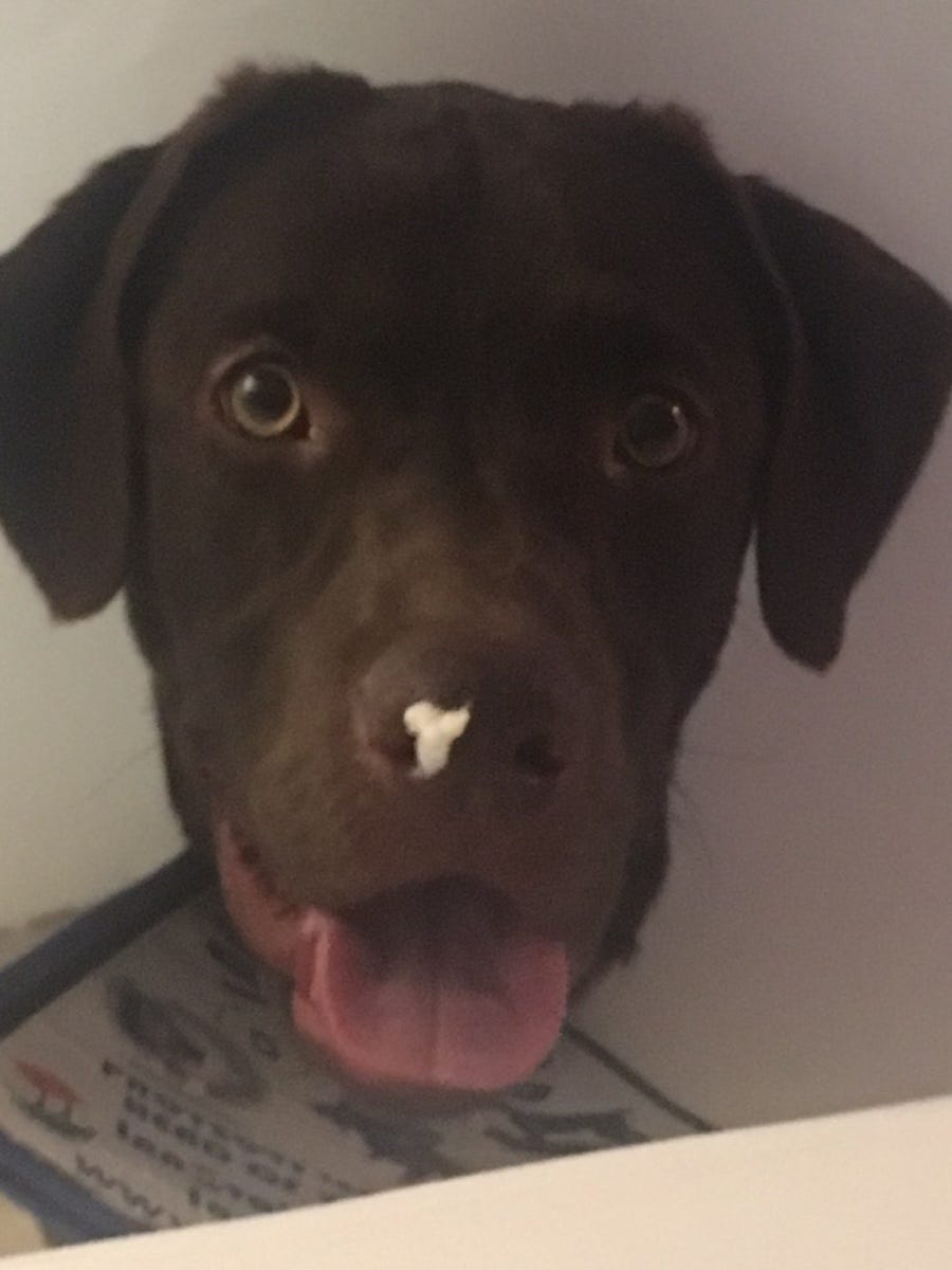 David on Medium curated some lists