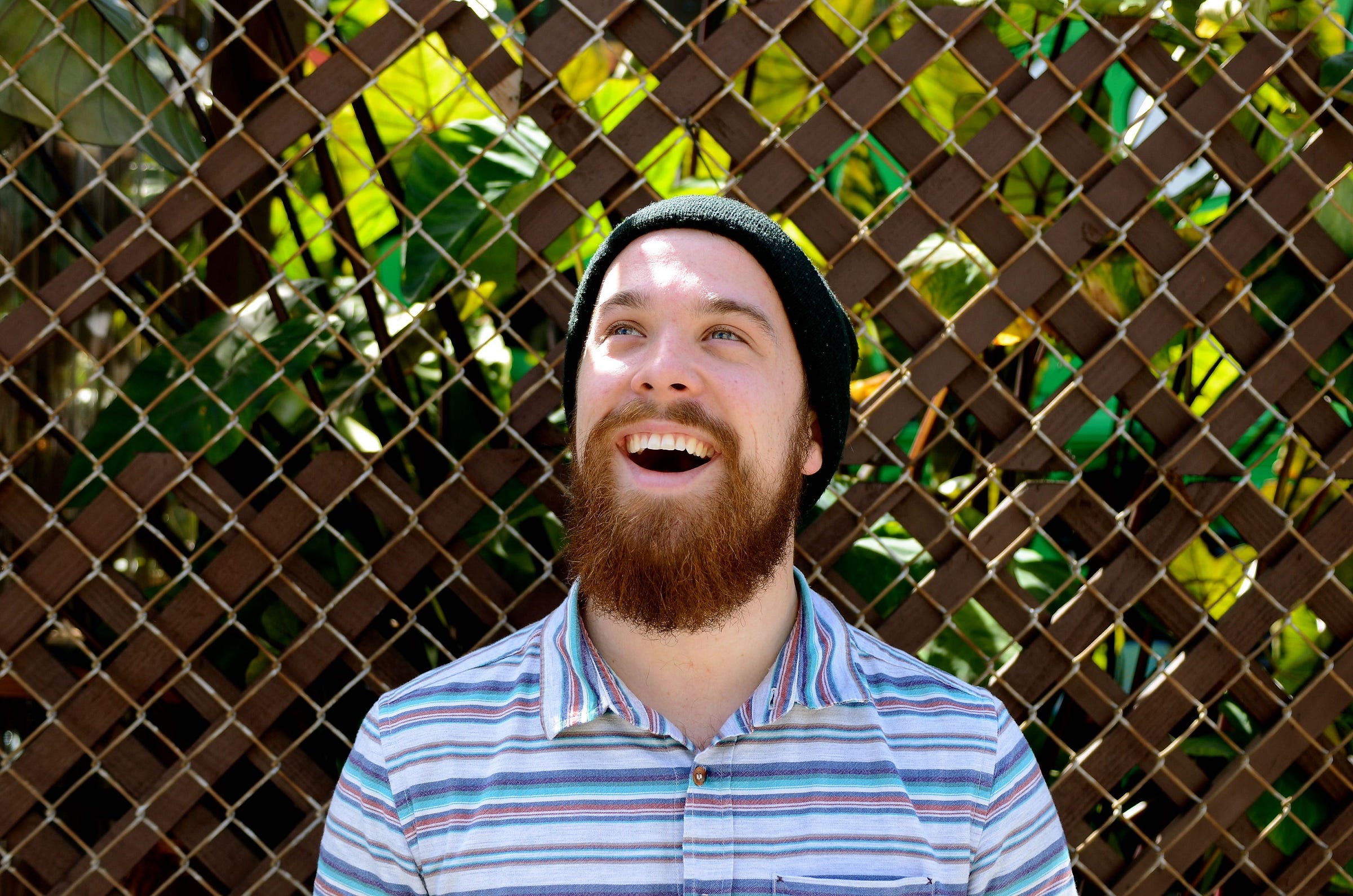 Matt Cline – Medium