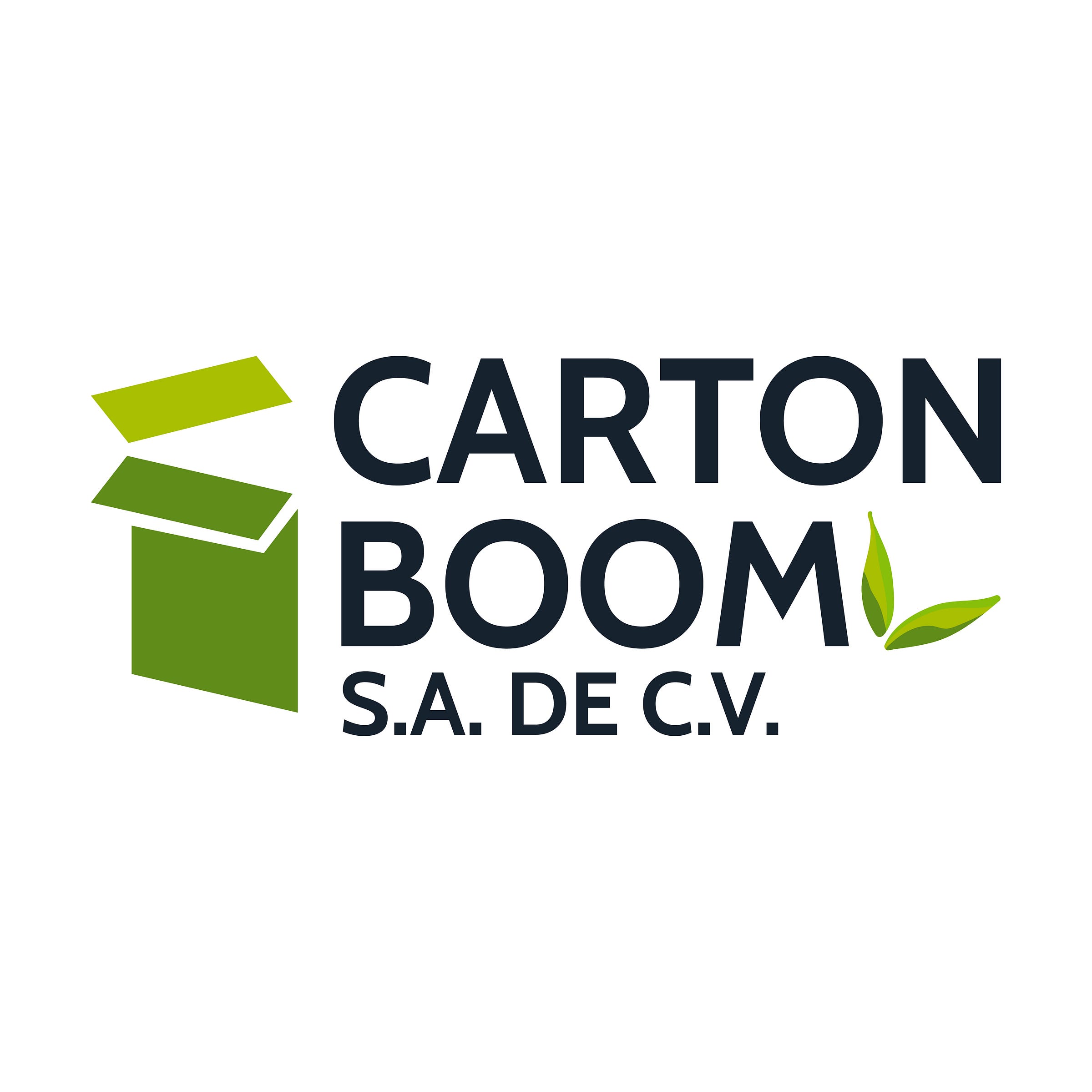 Carton Boom – Medium