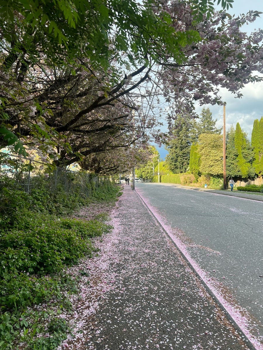 About – Jass Kaur – Medium