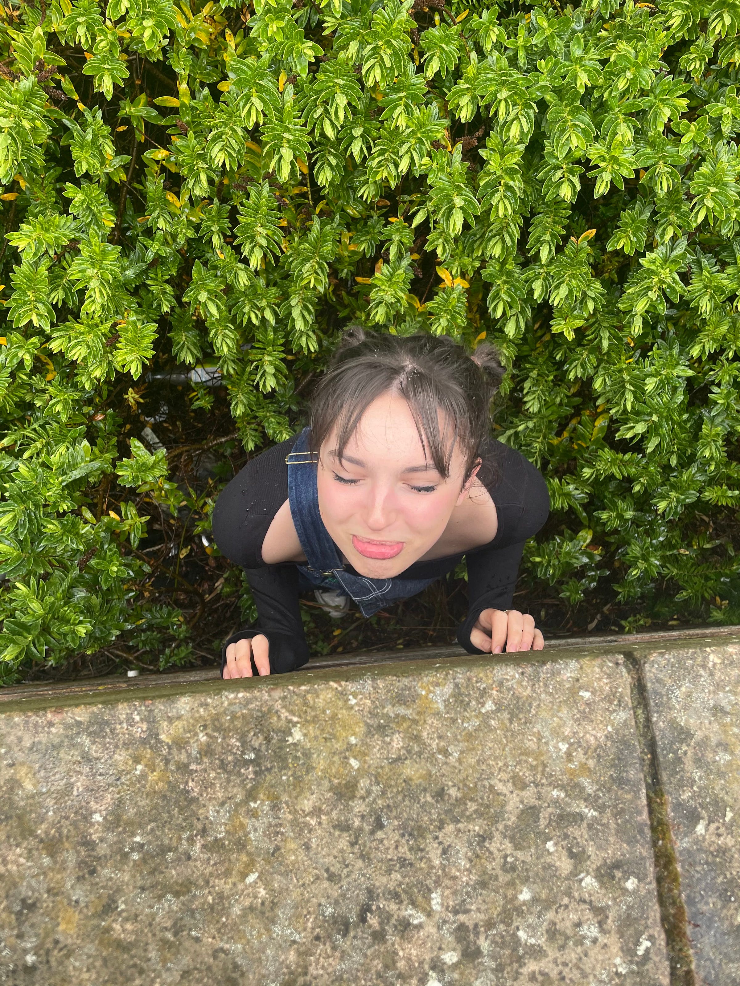 Eve Gilmour – Medium