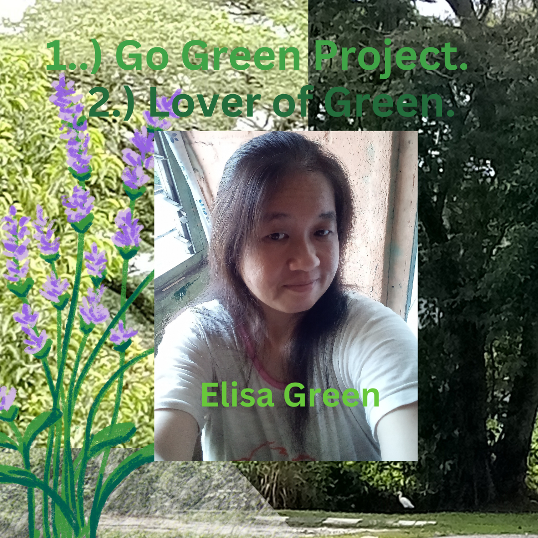 Elisa Green – Medium
