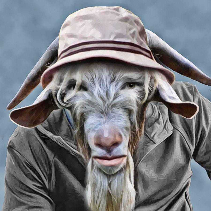 Ugly Goat