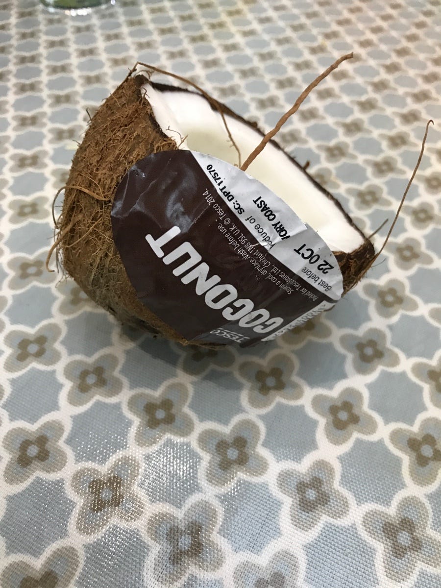 A Coconut’s Thoughts – Medium