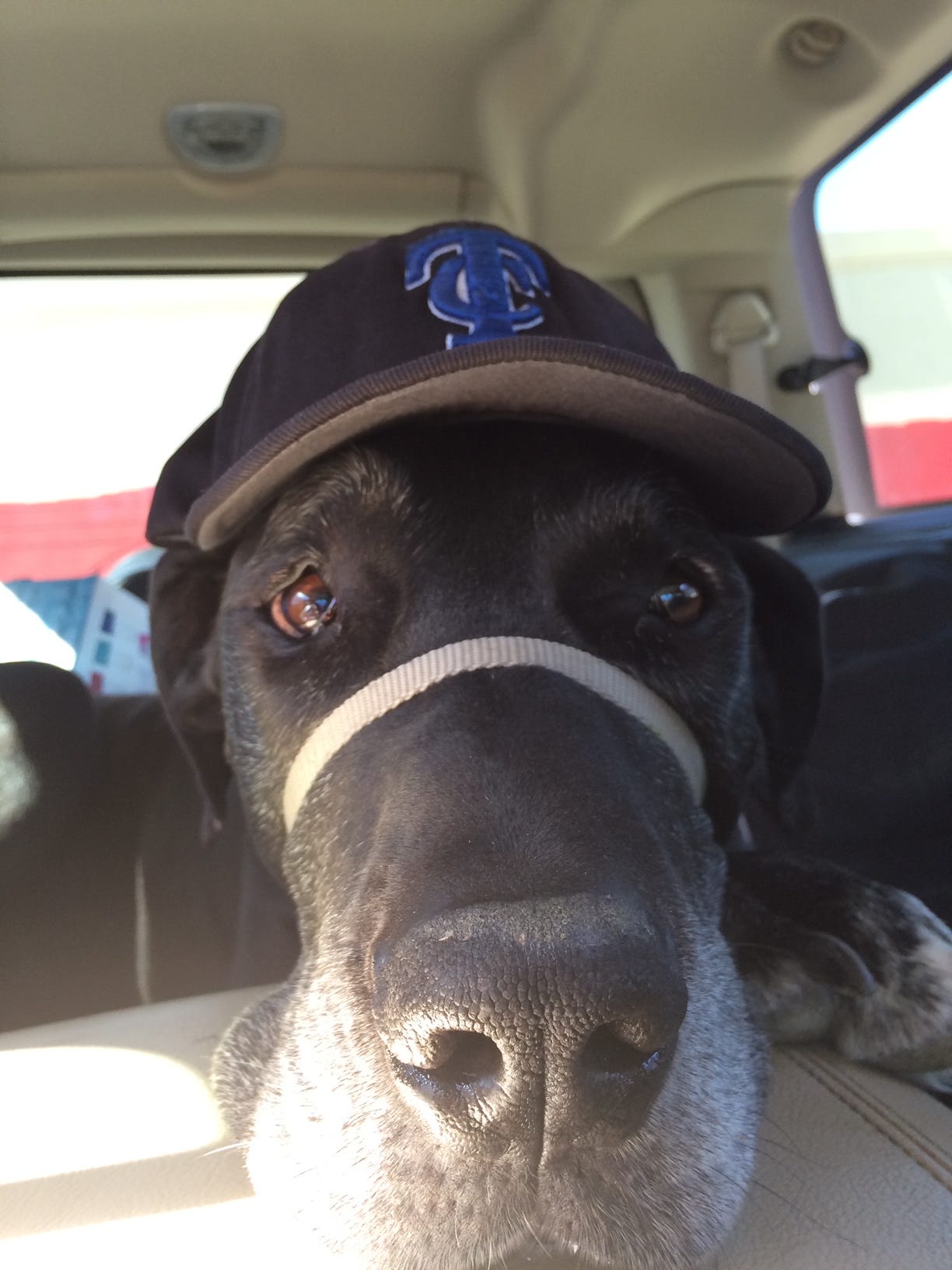 Josh Milkowski – Medium