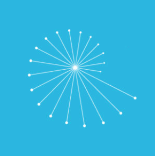 BCSR – Medium