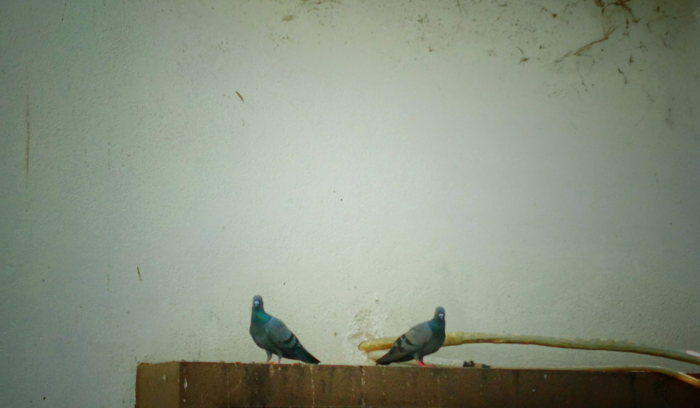 Random Person Medium