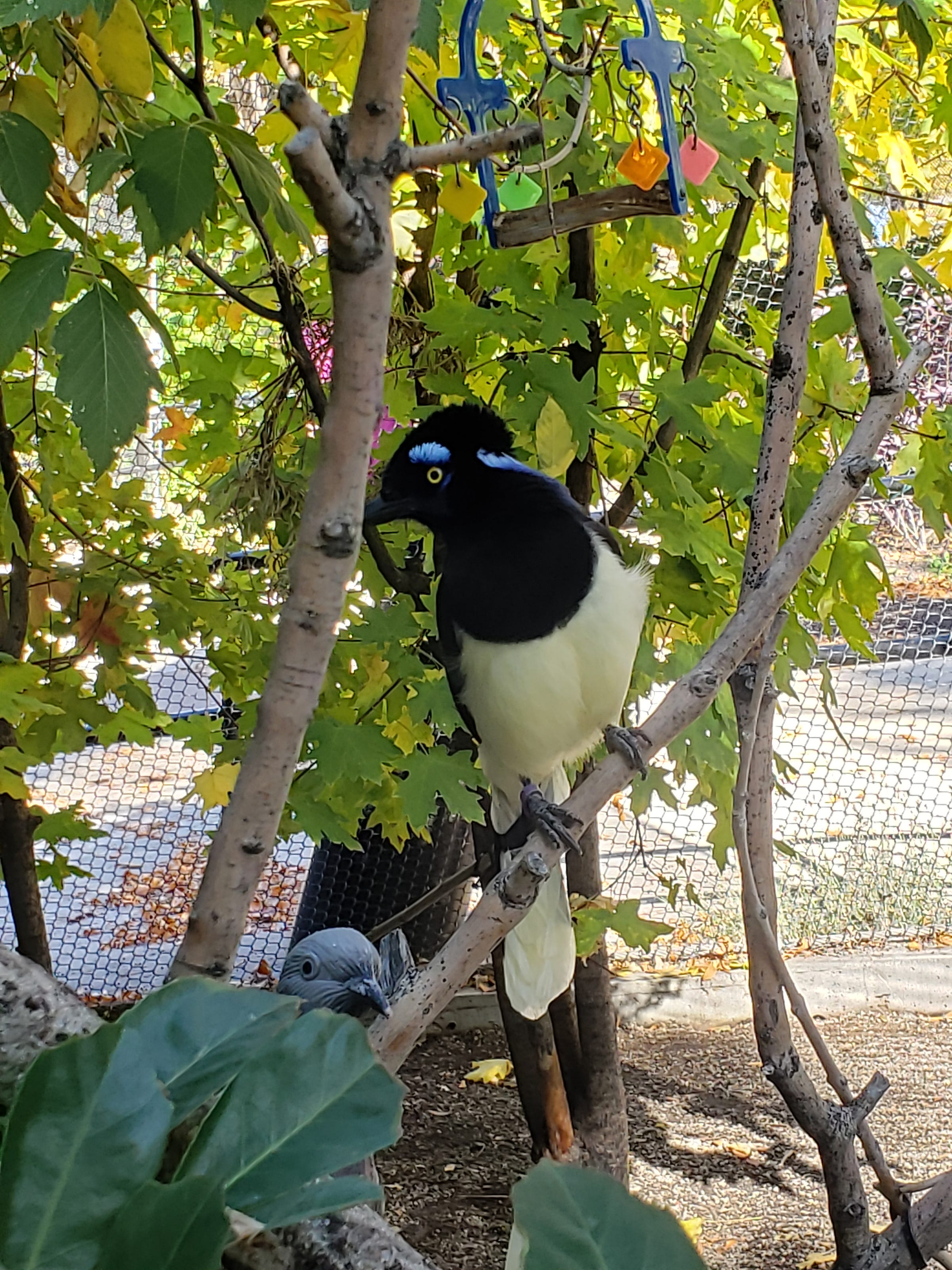 Rory Jenkins – Medium