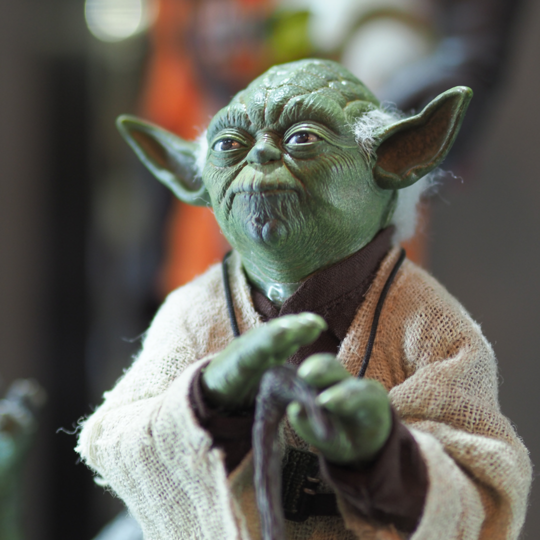 Sportsbook Yoda – Medium
