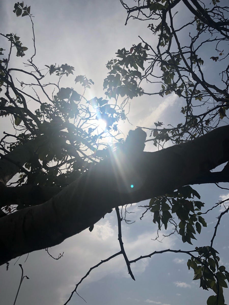 About – nipun – Medium