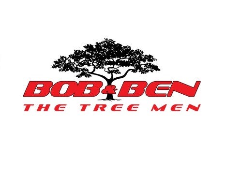 Bob and Ben the Tree Men – Medium