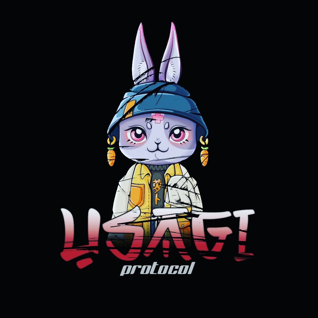 USAGI Protocol – Medium