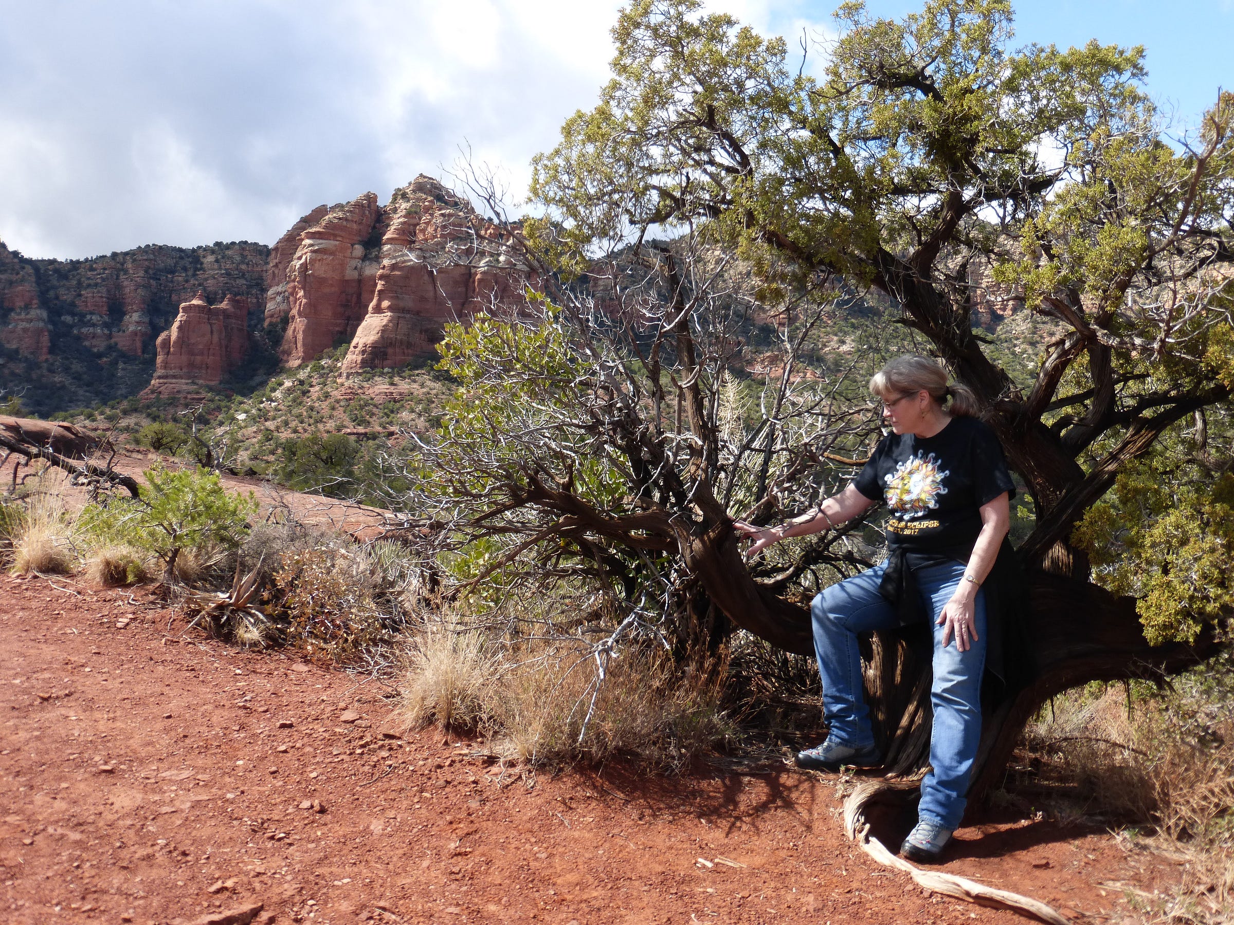Deb Reinhardt-Brocious – Medium