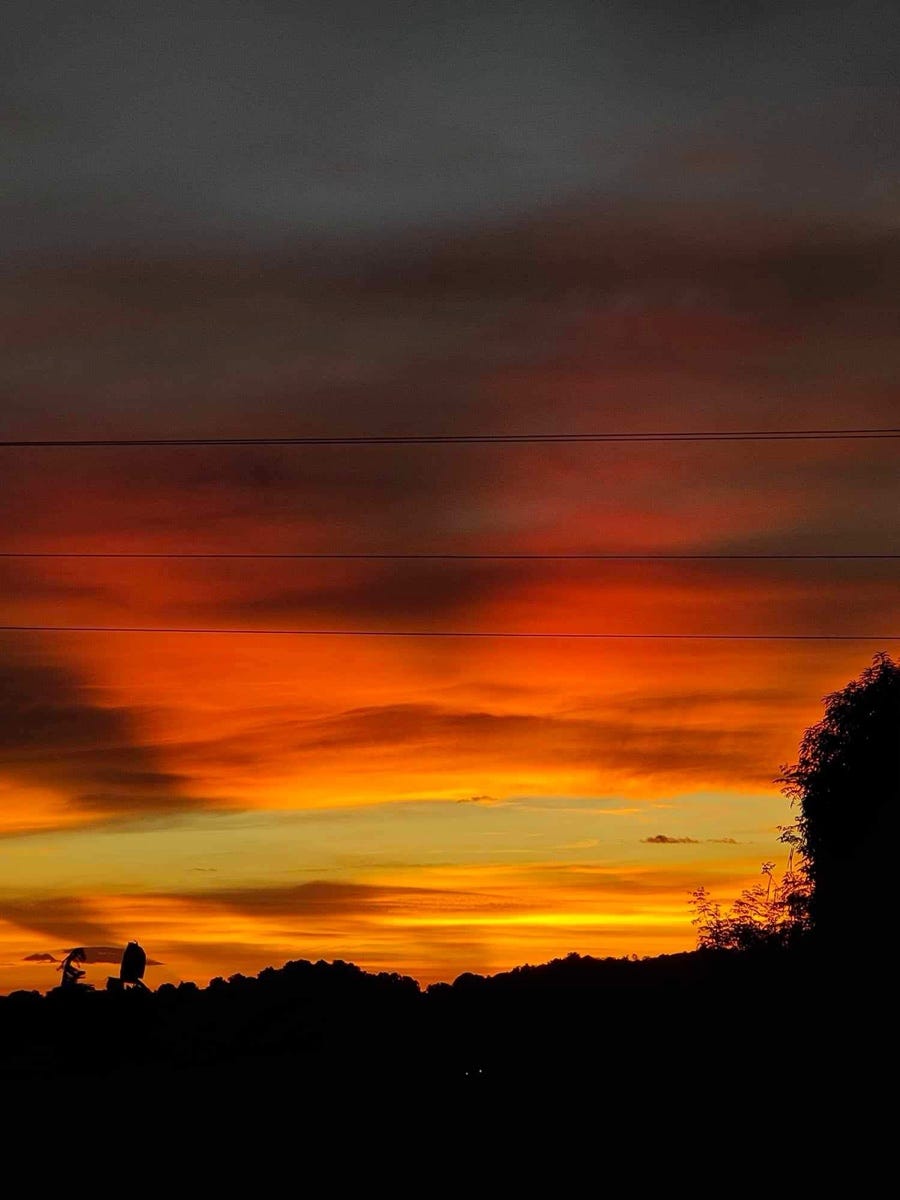 sela martell – Medium