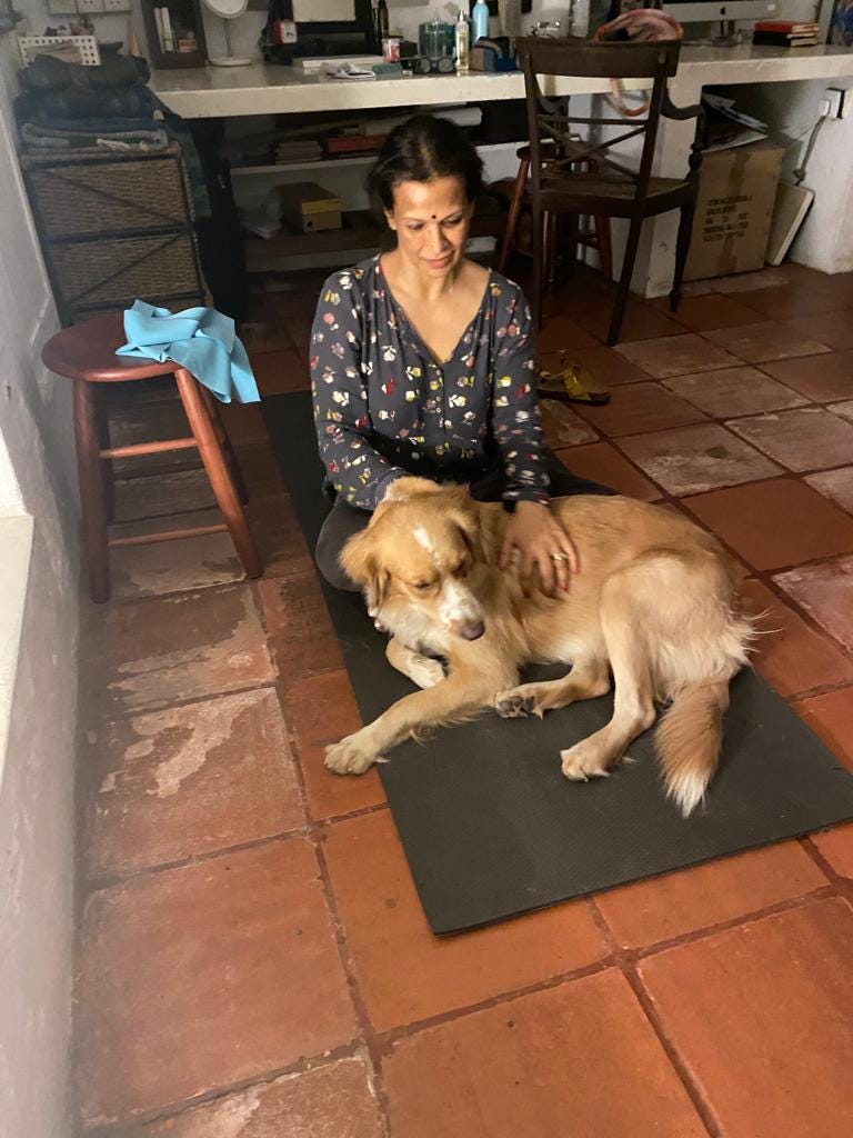 NAZREEN SANSONI – Medium