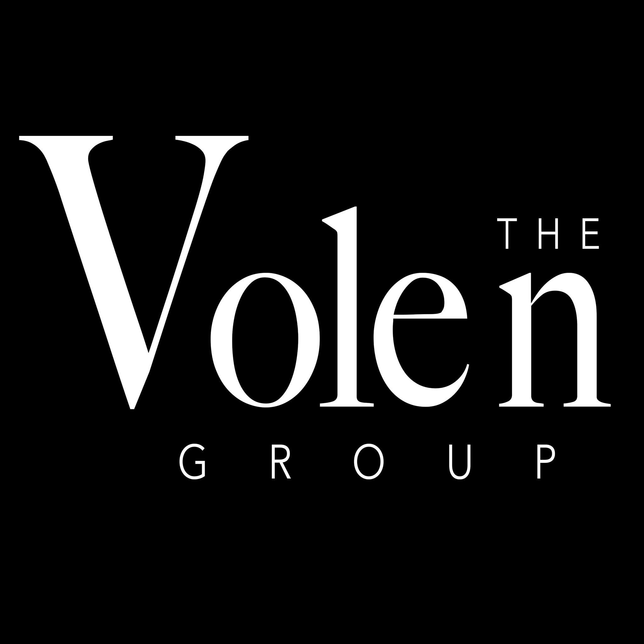 The Volen Group – Medium