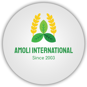 About – Amoli International – Medium