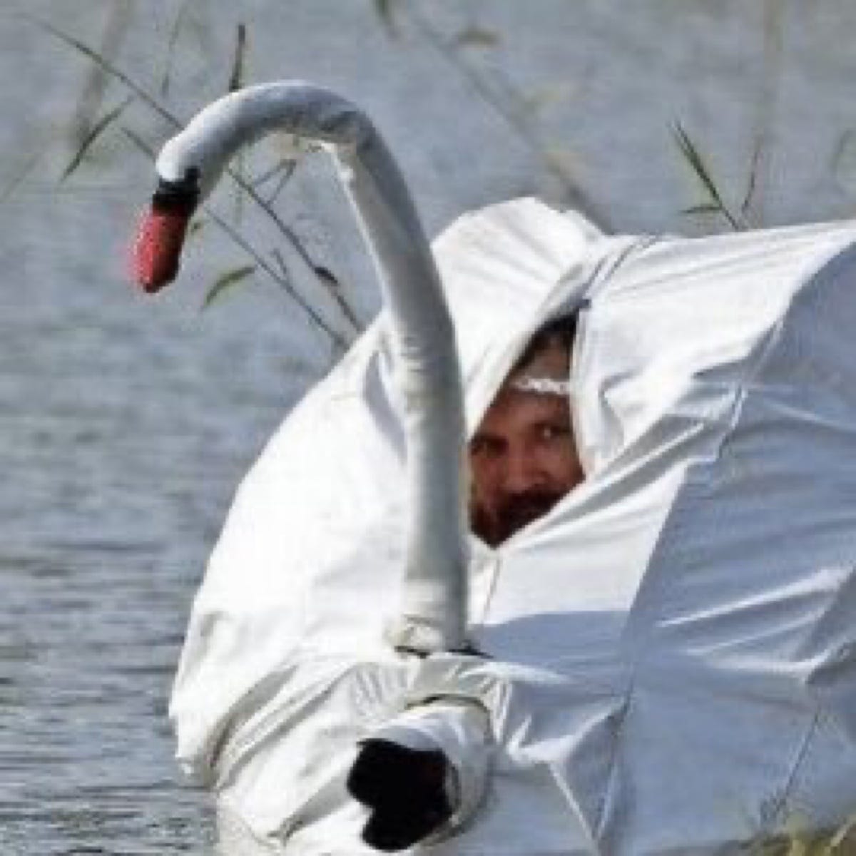 Ryan Swanson on Medium curated some lists