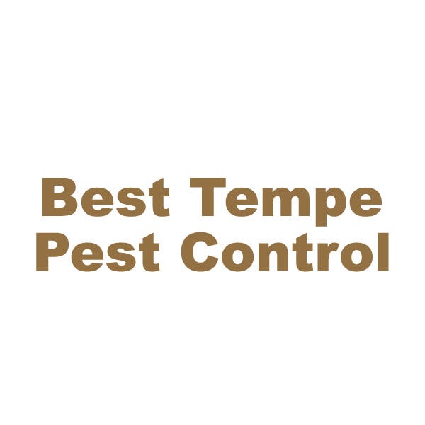 Best Tempe Pest Control – Medium