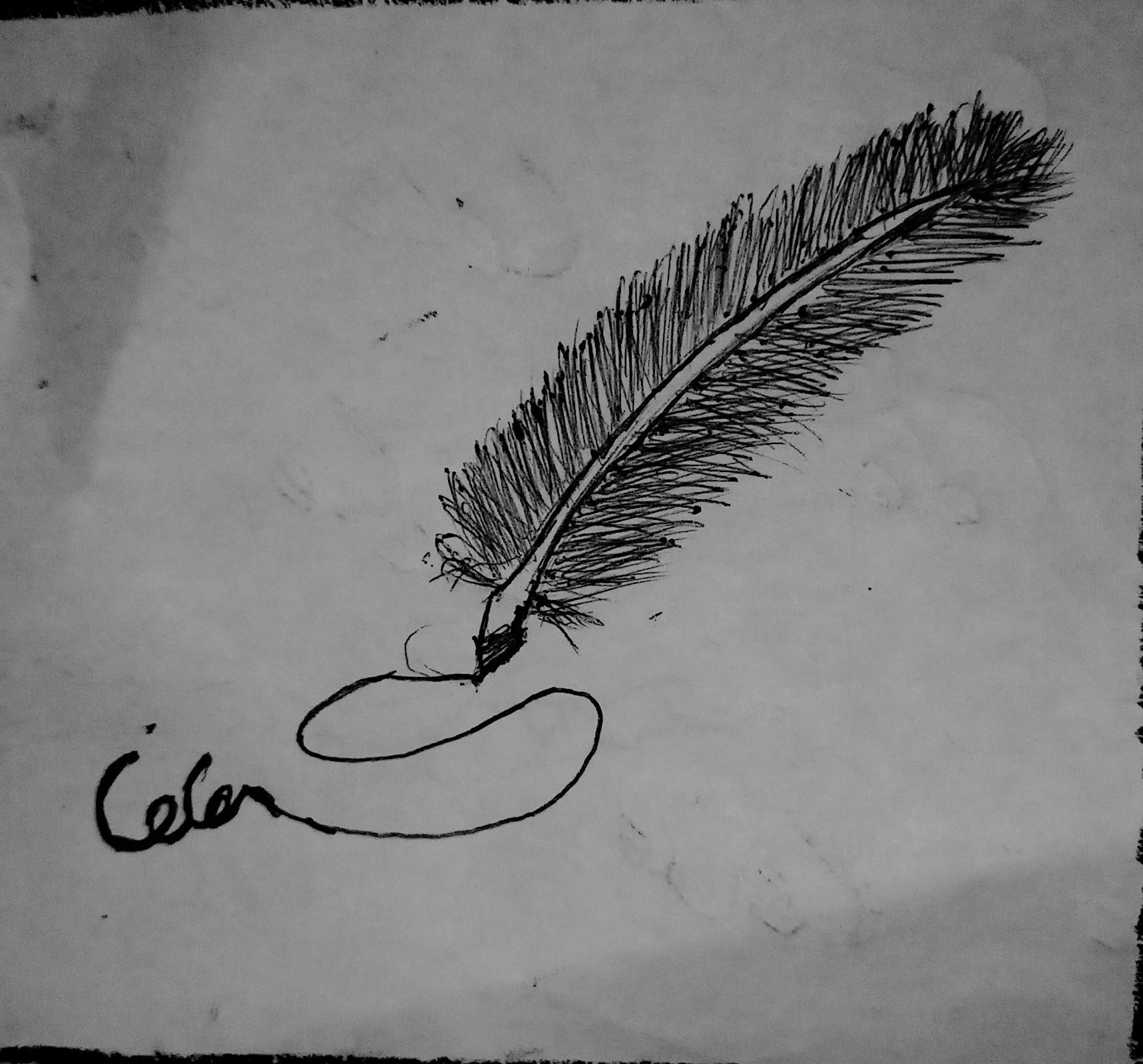 CeCe Jay Elis Medium CeCe Jay Elis Medium
