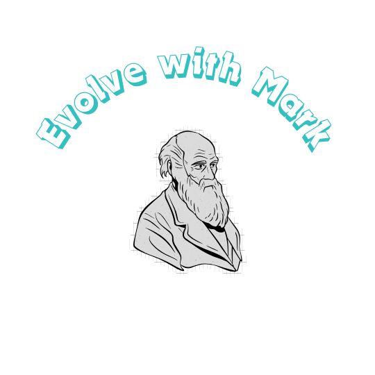 Evolve with Mark – Medium