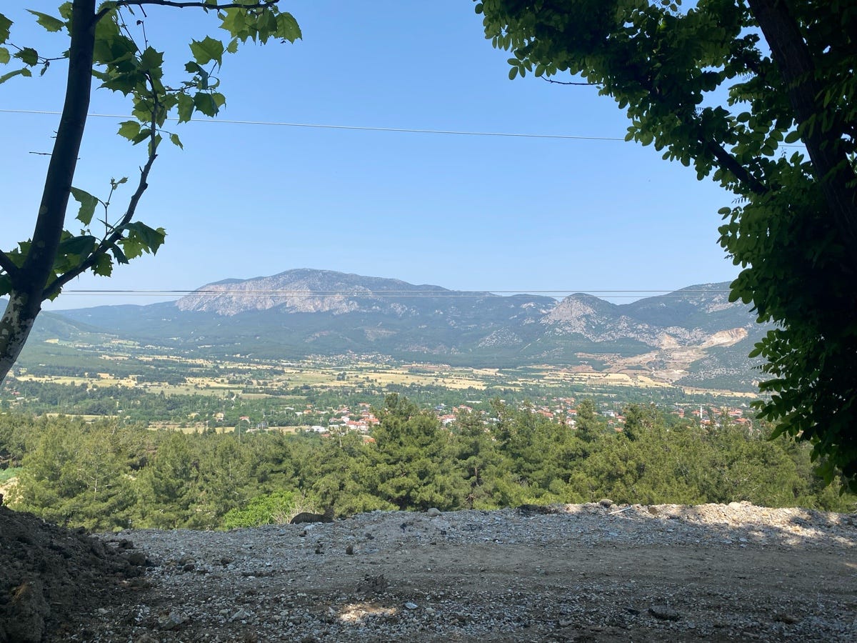 Yunus Işık – Medium