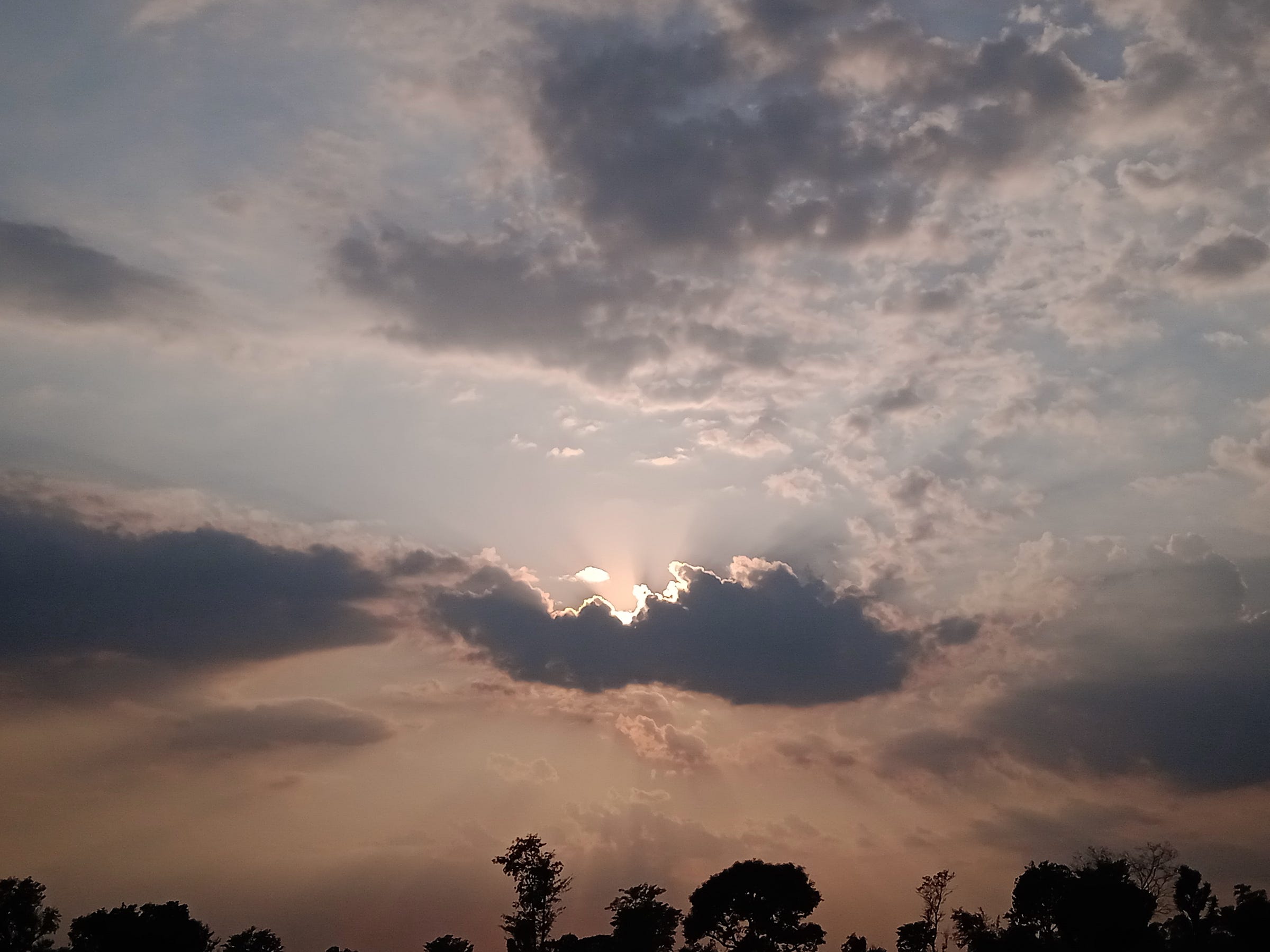 Rashi Rajput – Medium