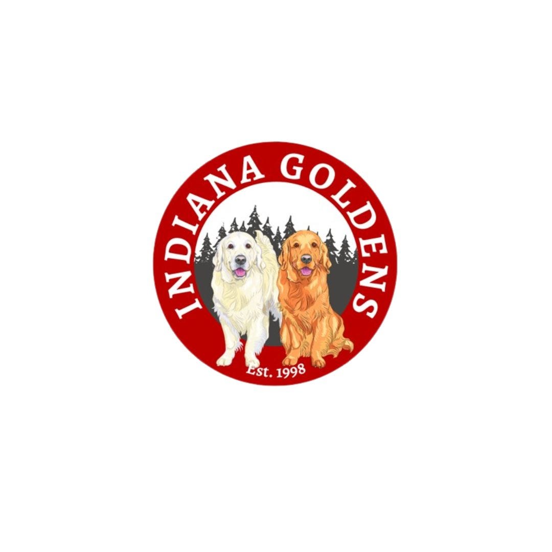 Indiana Goldens100 – Medium