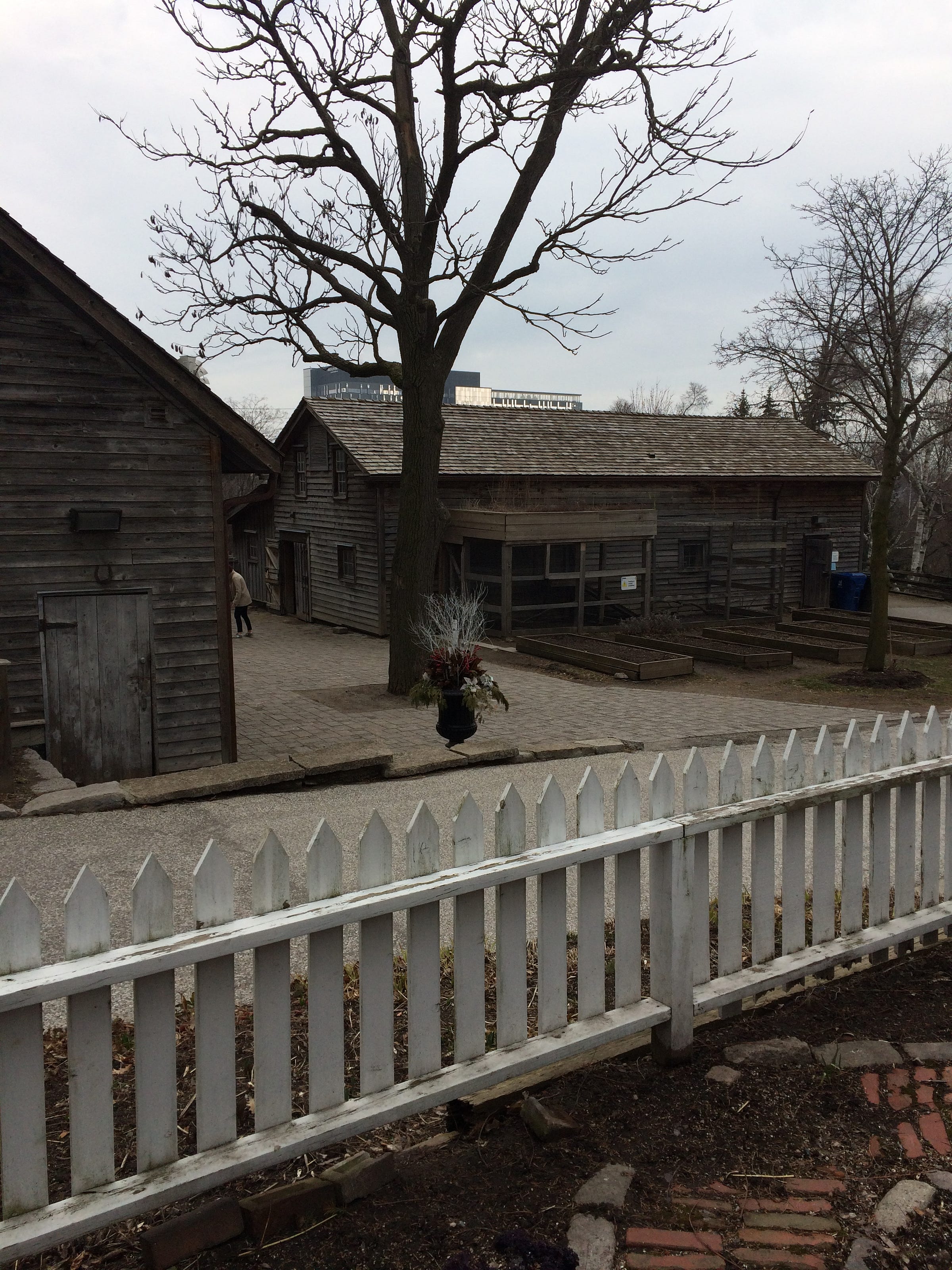 A FARM IN THE CITY