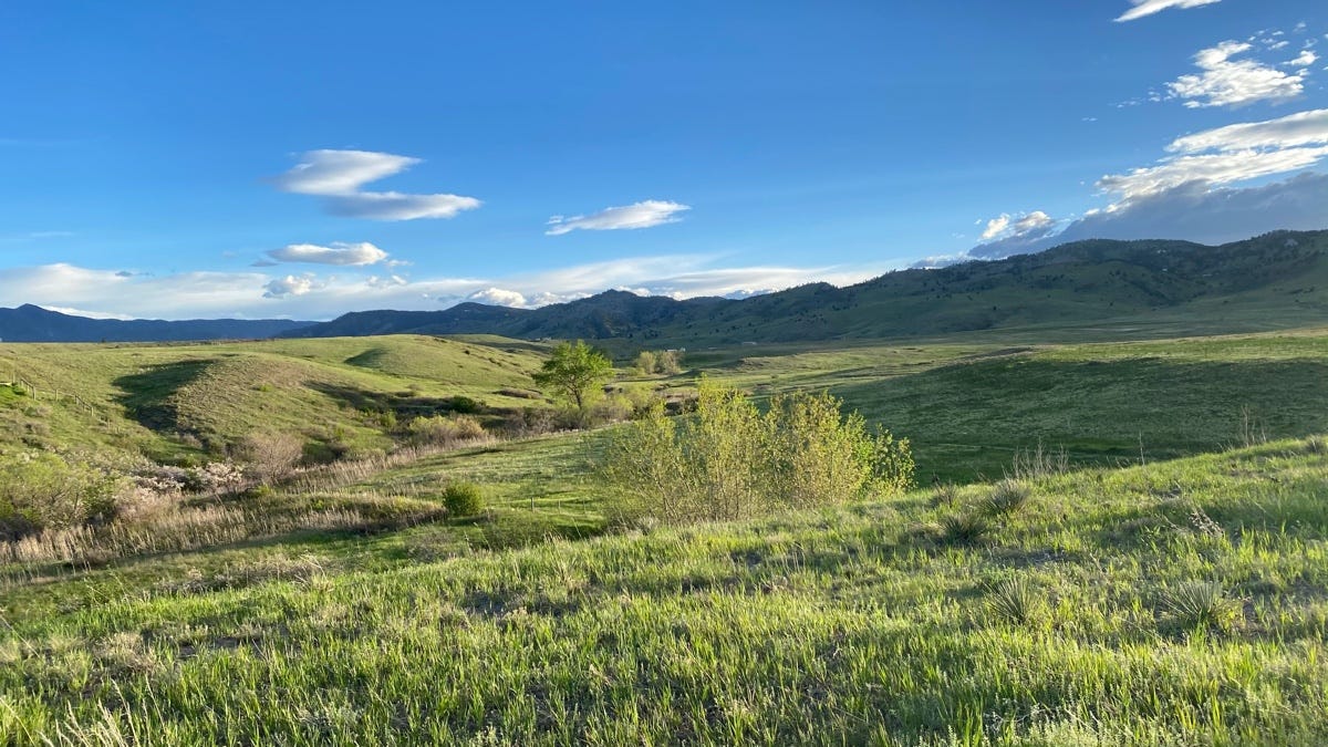 About – Suzy Julius – Medium