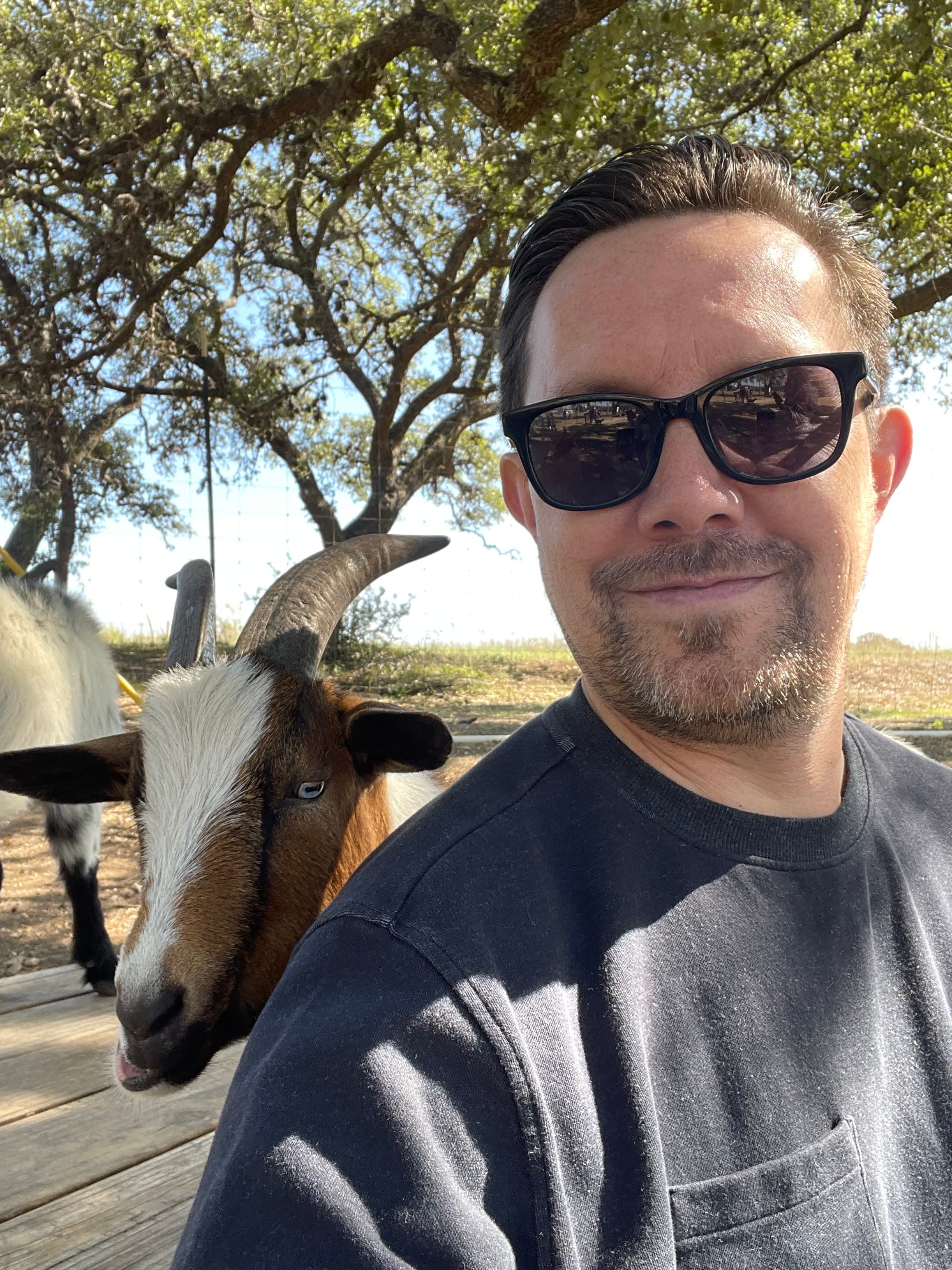 Stephen Crawford on Medium curated some lists