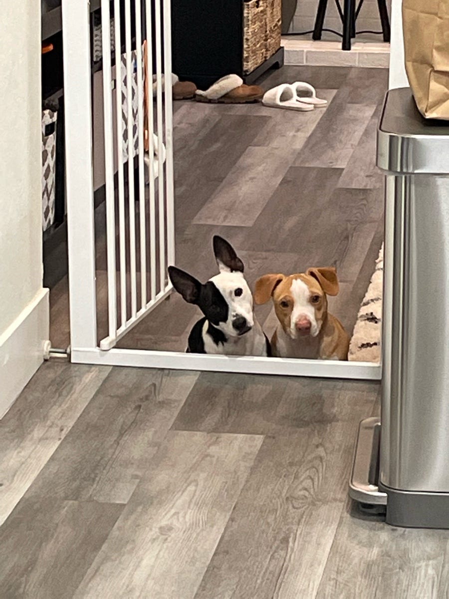 Tail on Medium curated some lists