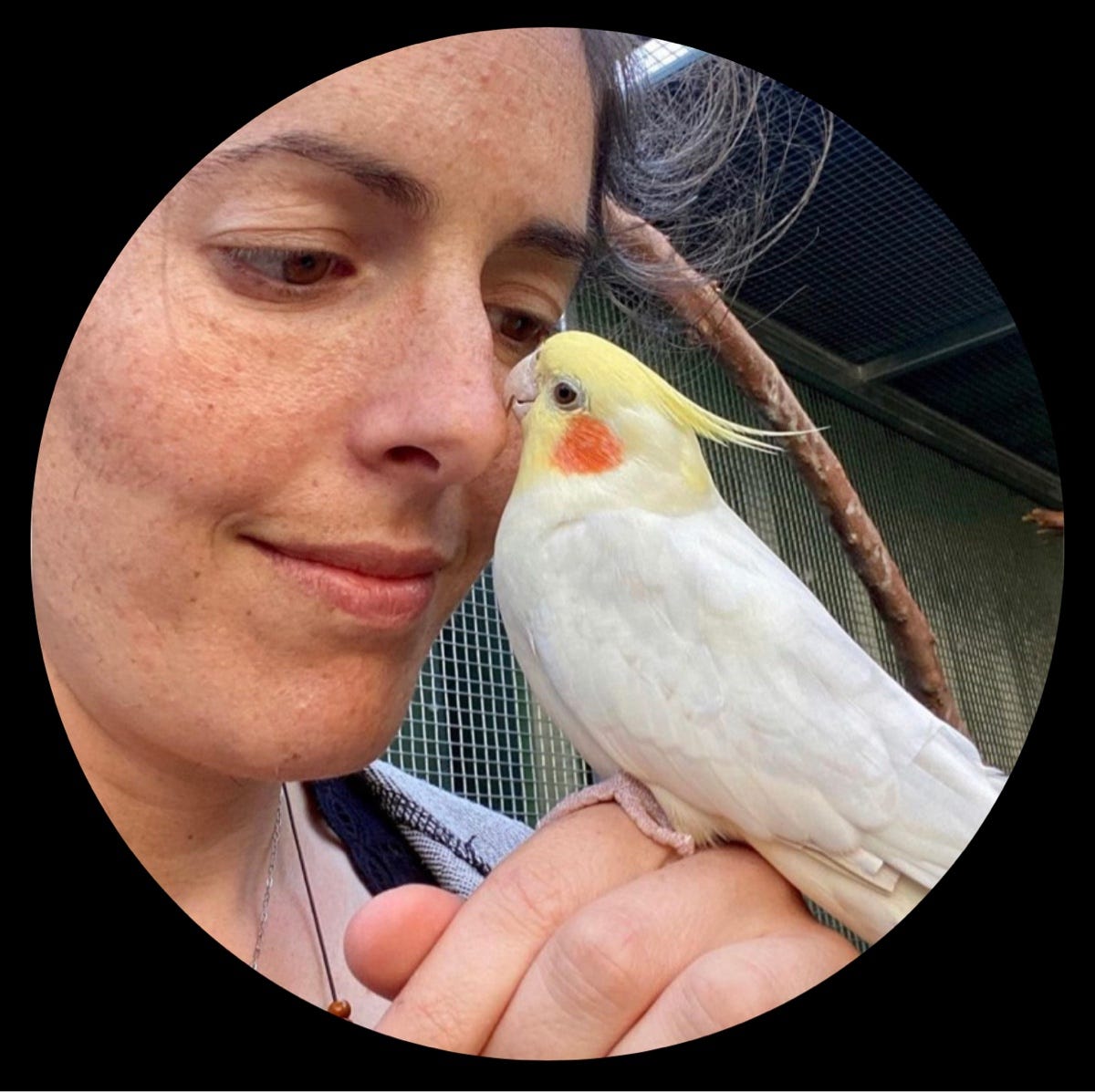 Fiona Diggins – Medium