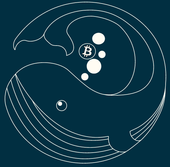 Whaley – Medium