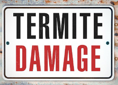 Ice Arenas Termite Removal Experts – Medium