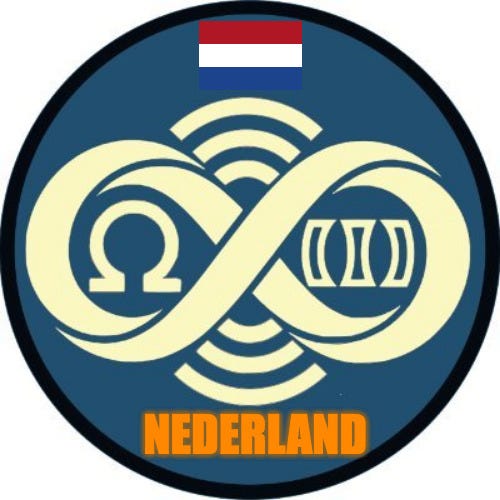 Dutch Concave Echo – Medium
