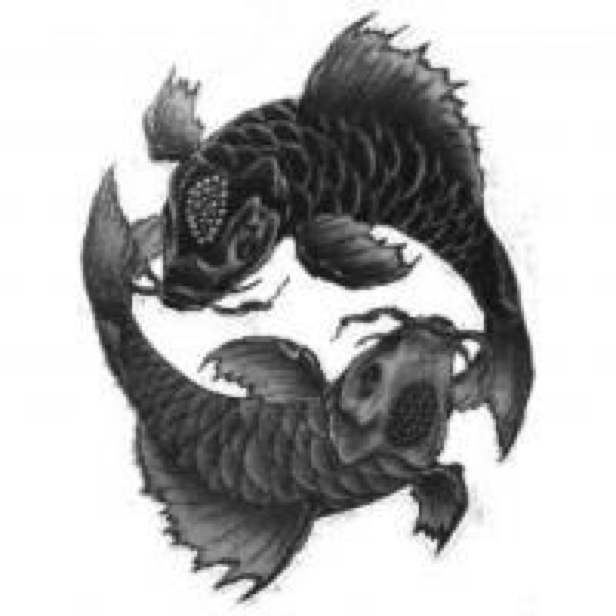 Don B. Stringham – Medium