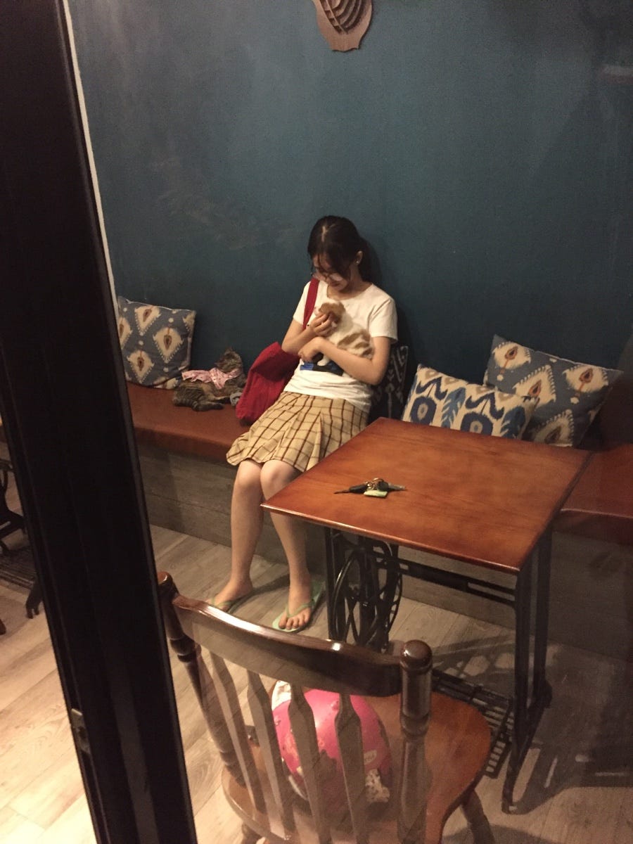 Sol Note on Medium curated some lists